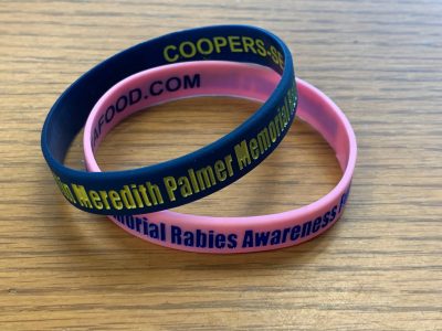 Michael Scott's Dunder Mifflin Meredith Palmer Memorial Rabies ...