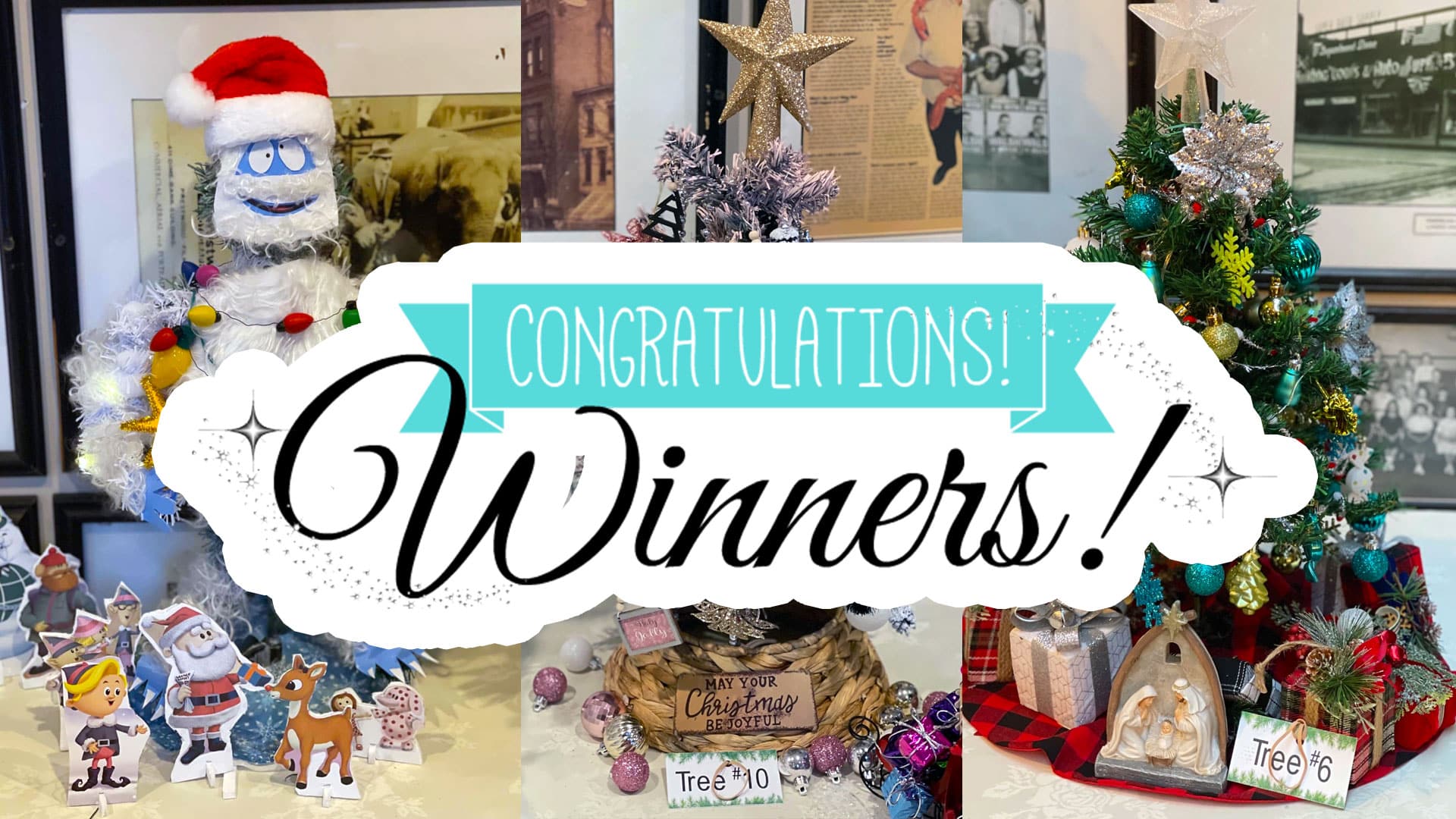 Congratulations to our Winners of the 2023 Tree Contest - Coopers ...